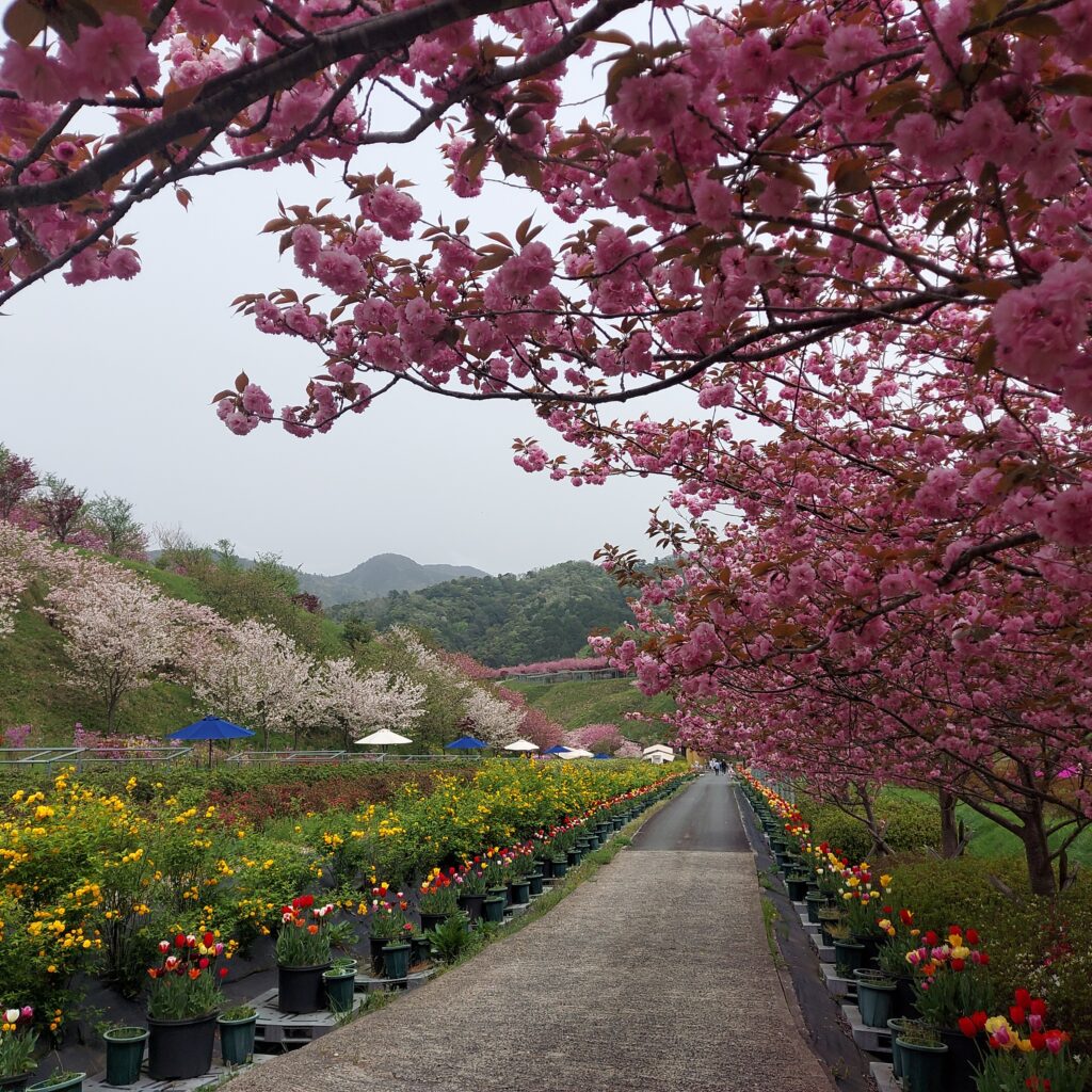 花郷OKADA R6.4.19 | 北畿リゾート株式会社