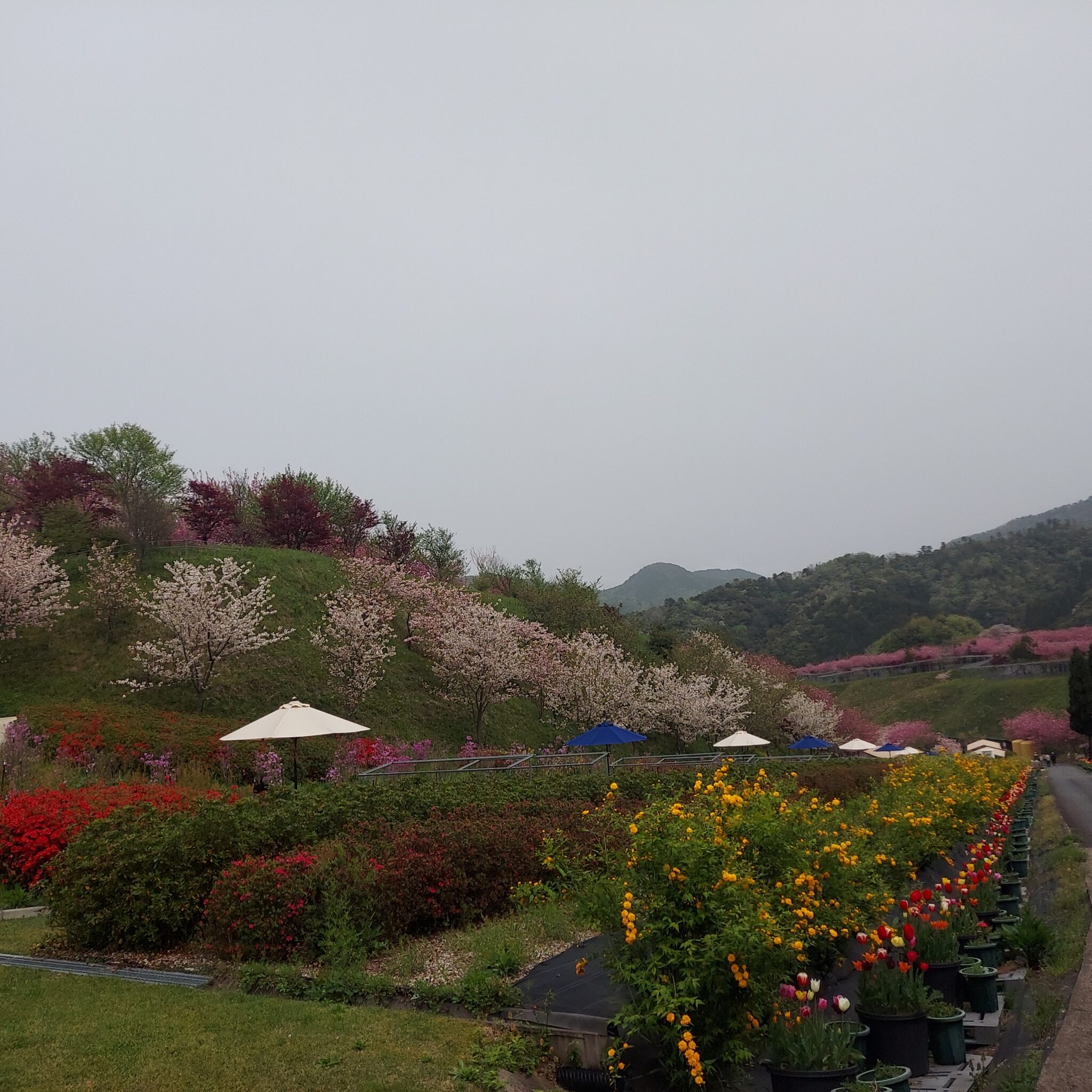 花郷OKADA R6.4.19 | 北畿リゾート株式会社