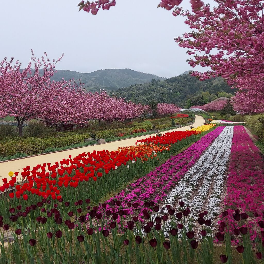 花郷OKADA R6.4.19 | 北畿リゾート株式会社