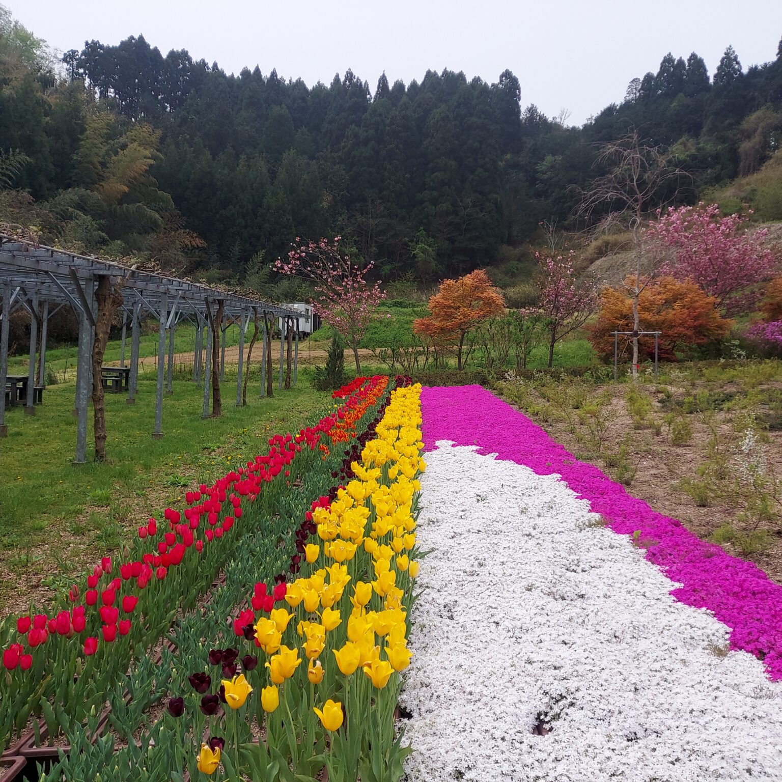 花郷OKADA R6.4.19 | 北畿リゾート株式会社