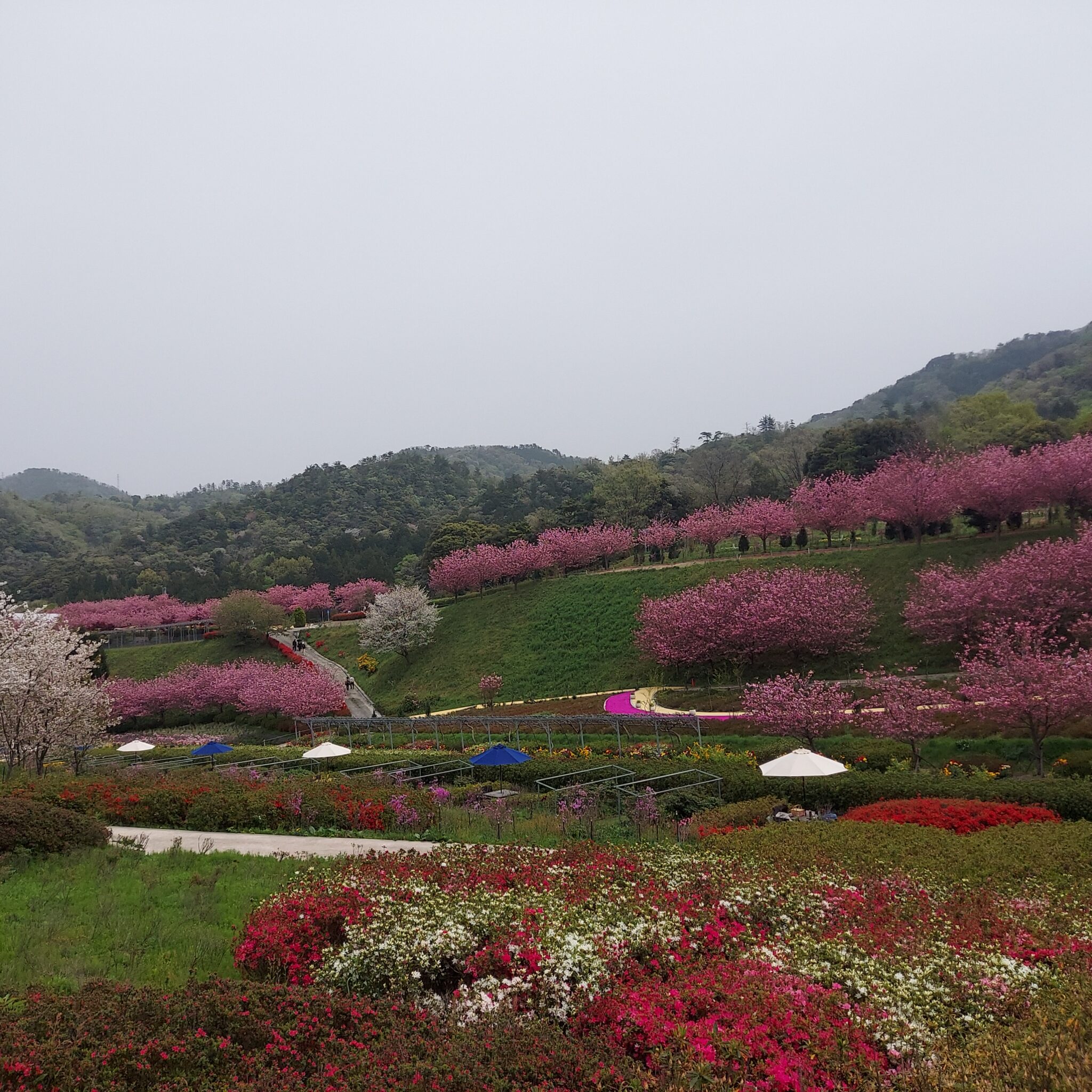 花郷OKADA R6.4.19 | 北畿リゾート株式会社
