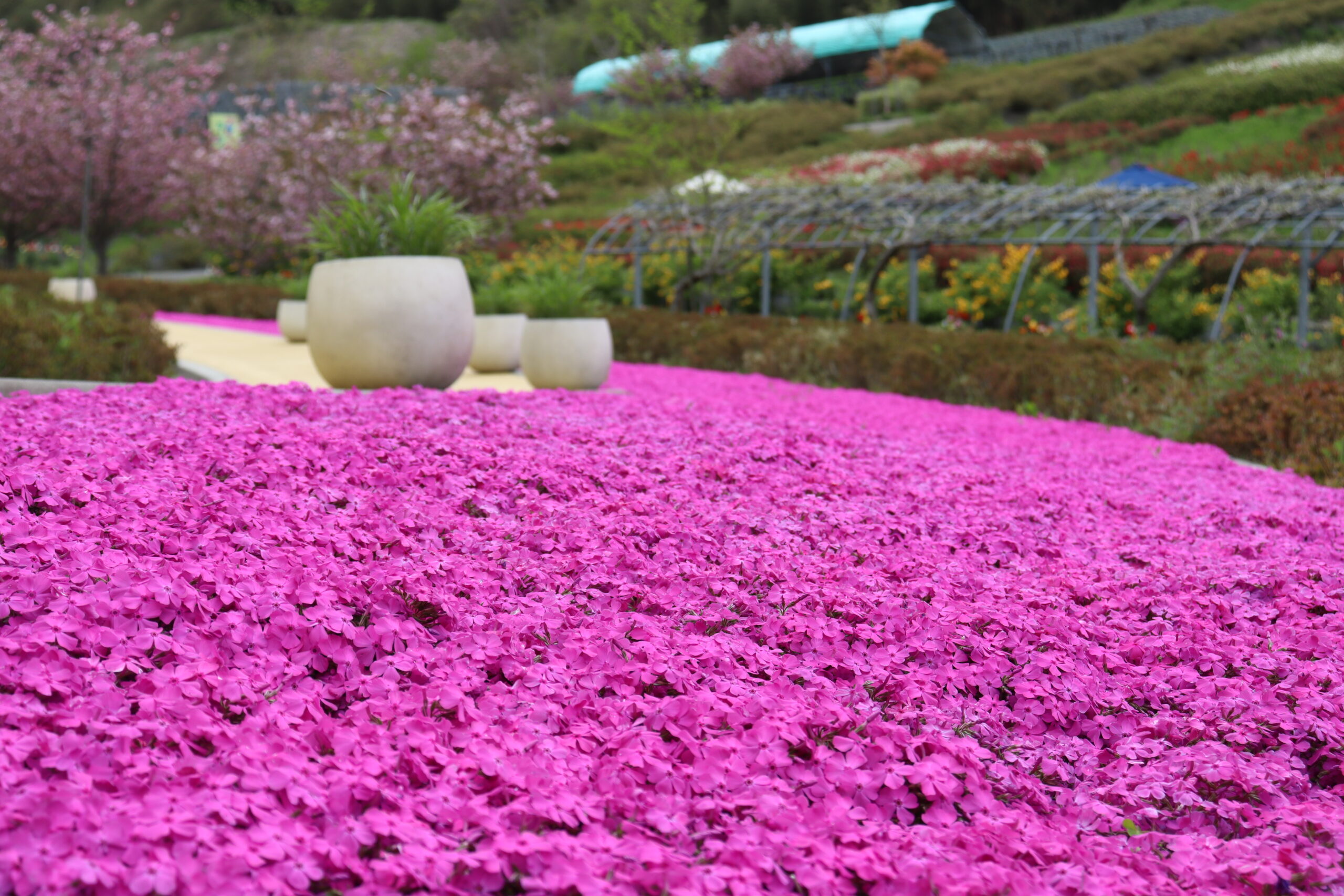 花郷OKADA R6.4.22 | 北畿リゾート株式会社