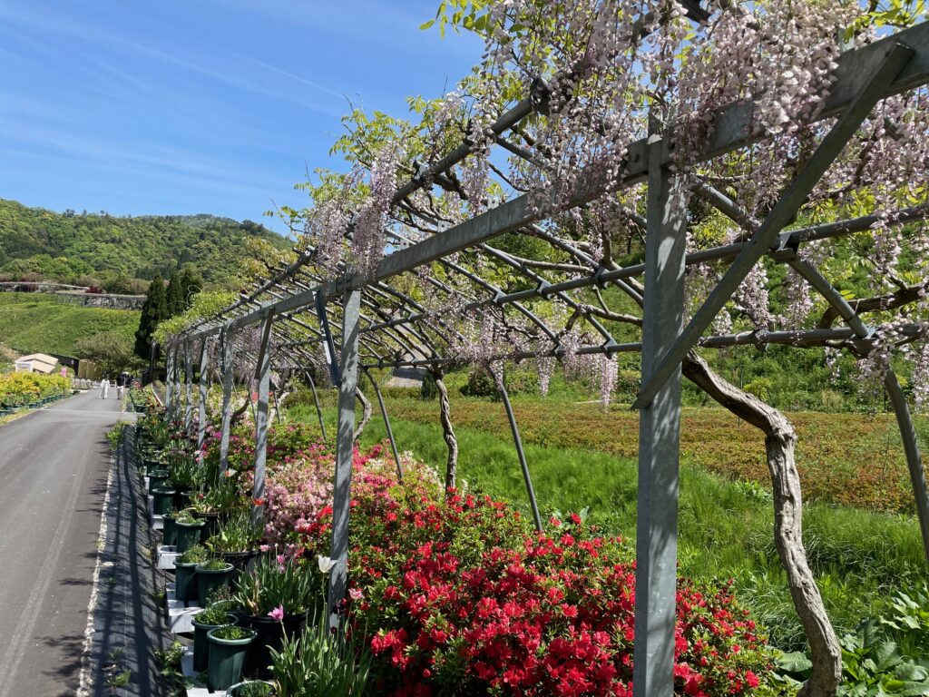 花郷OKADA R6.4.28 | 北畿リゾート株式会社