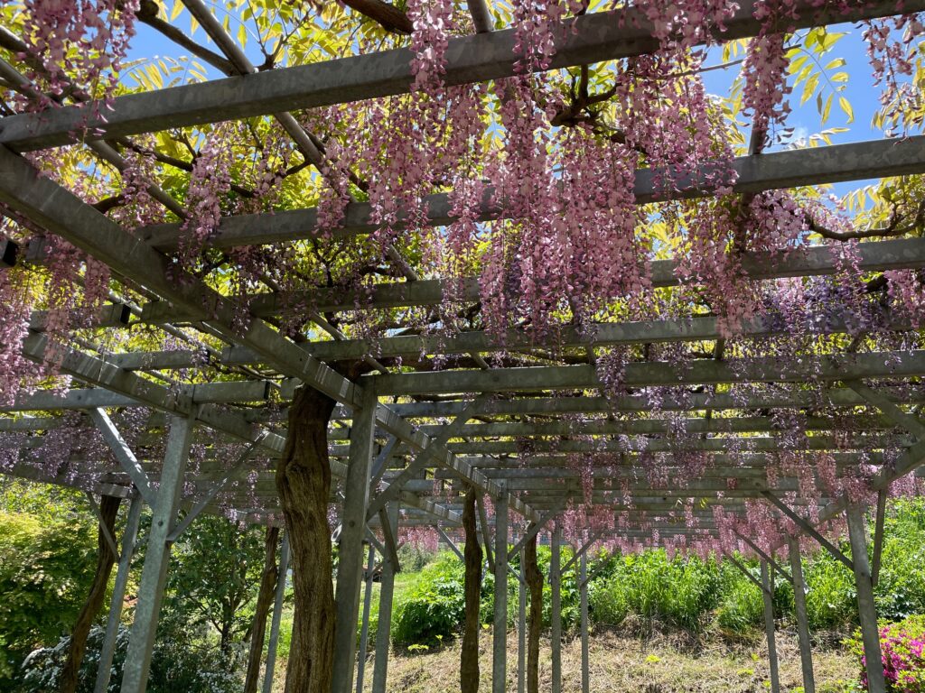 花郷OKADA R6.5.2 | 北畿リゾート株式会社